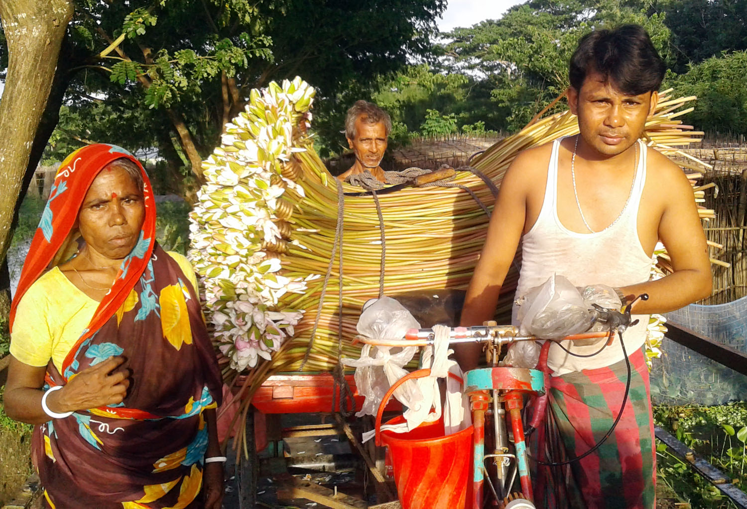 বরিশালে সাদা শাপলায় জীবন চলে দরিদ্র পরিবারের – বিডি ক্রাইম ২৪